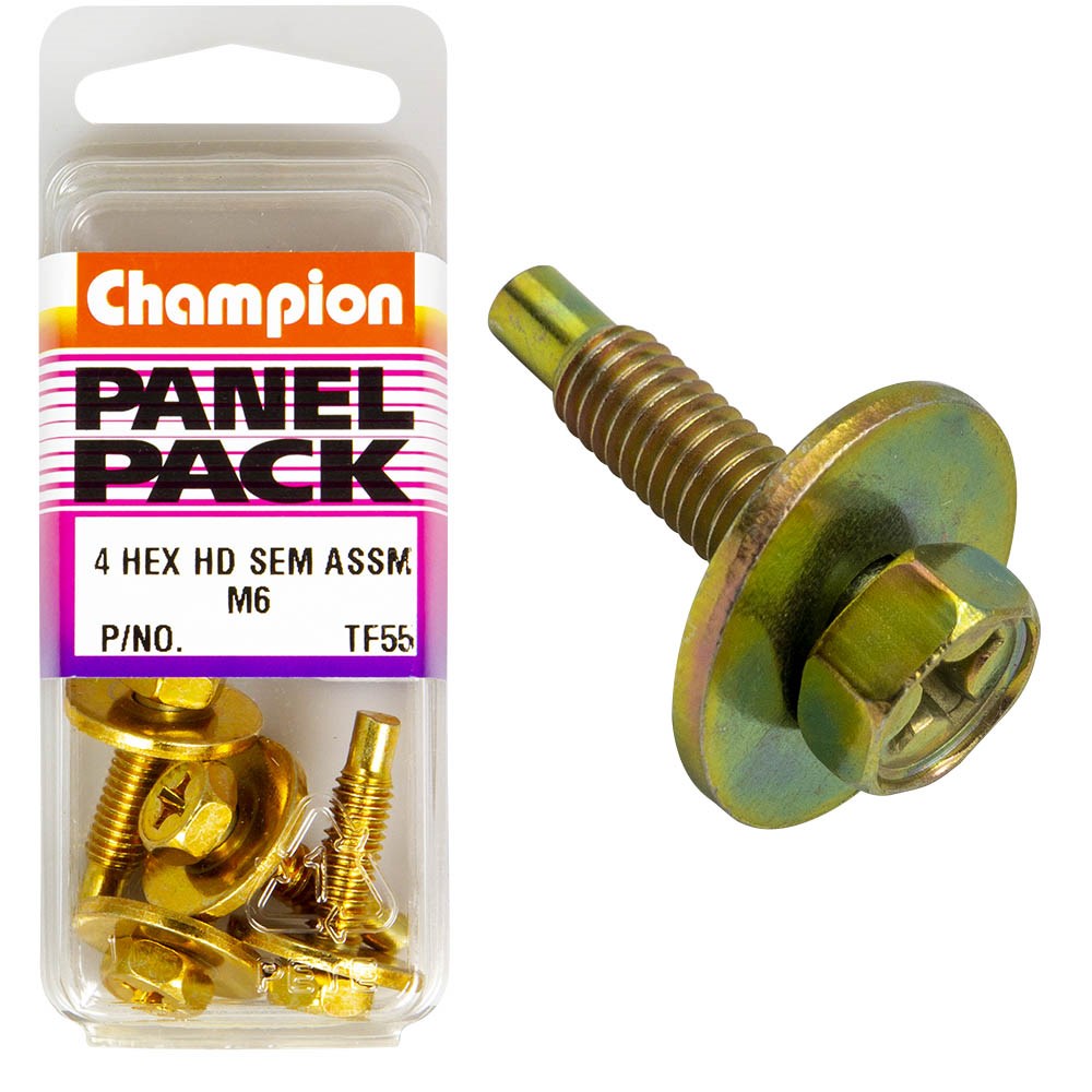 Champion Fasteners Hex Set Screws (M6x25mm Set Screws/SEMS Hex/Philips ...