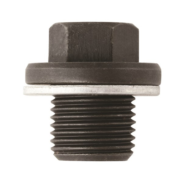 Sump Plugs and Sump Plug Washers | Auto One